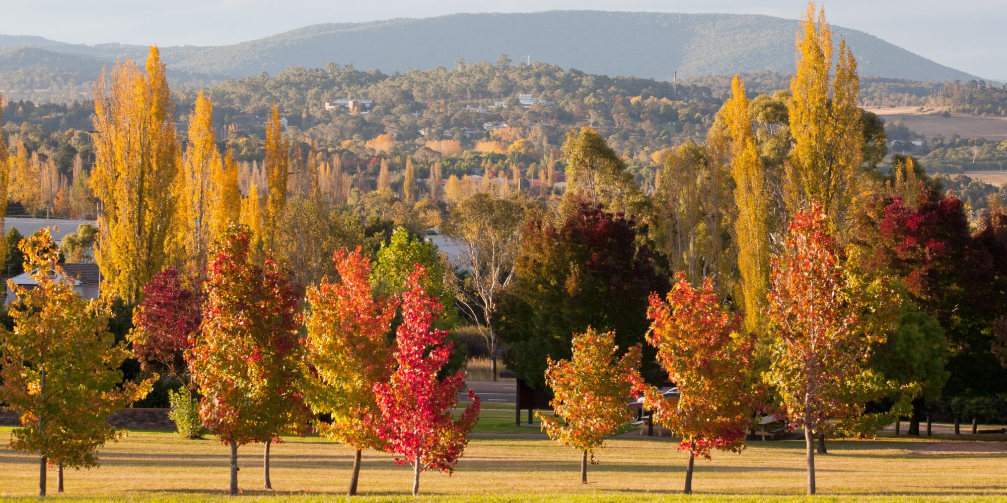 Armidale named in Australia's Greenest Small Cities | New England Times