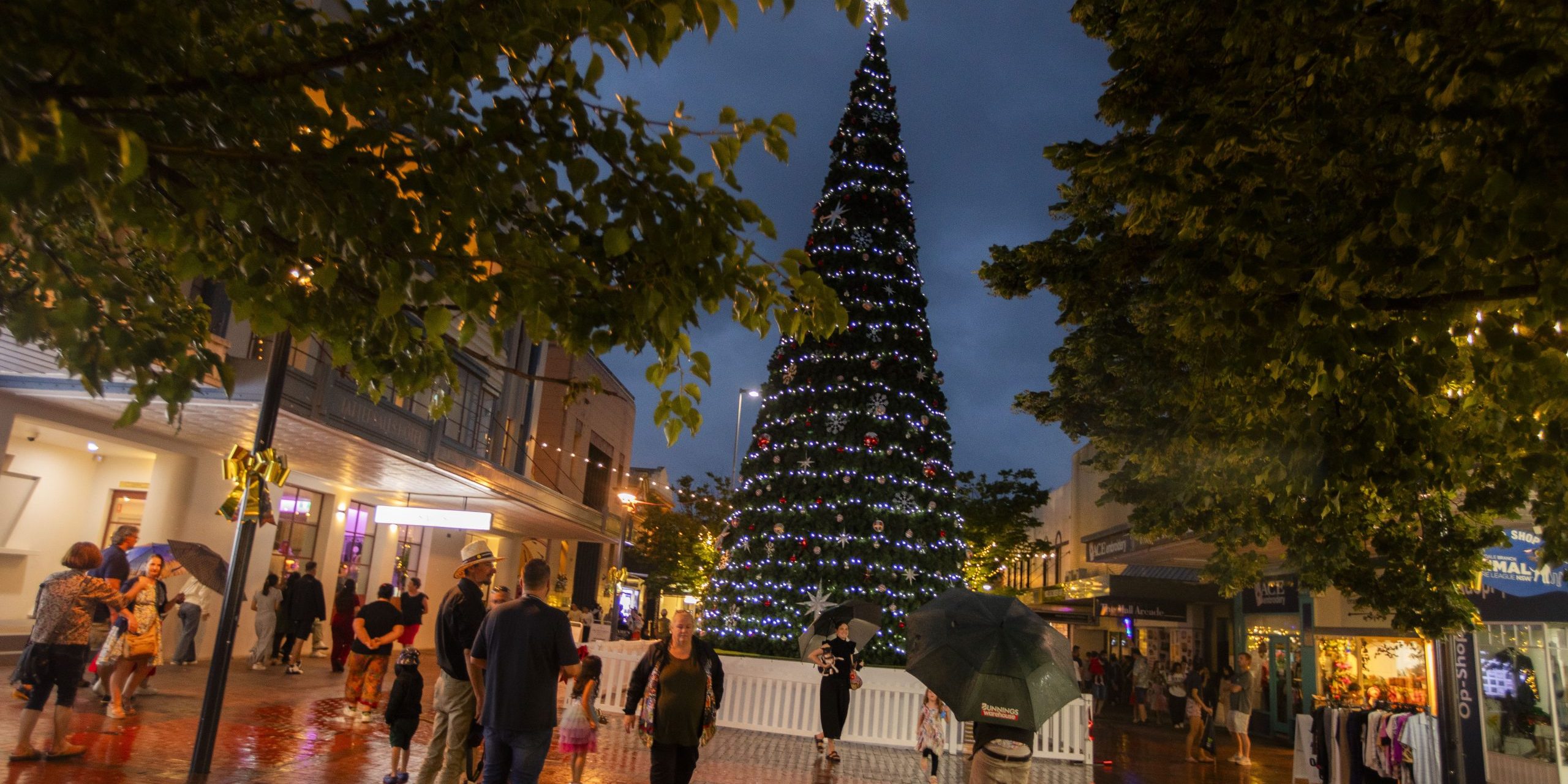 Christmas in the Mall brings magic to Armidale | New England Times