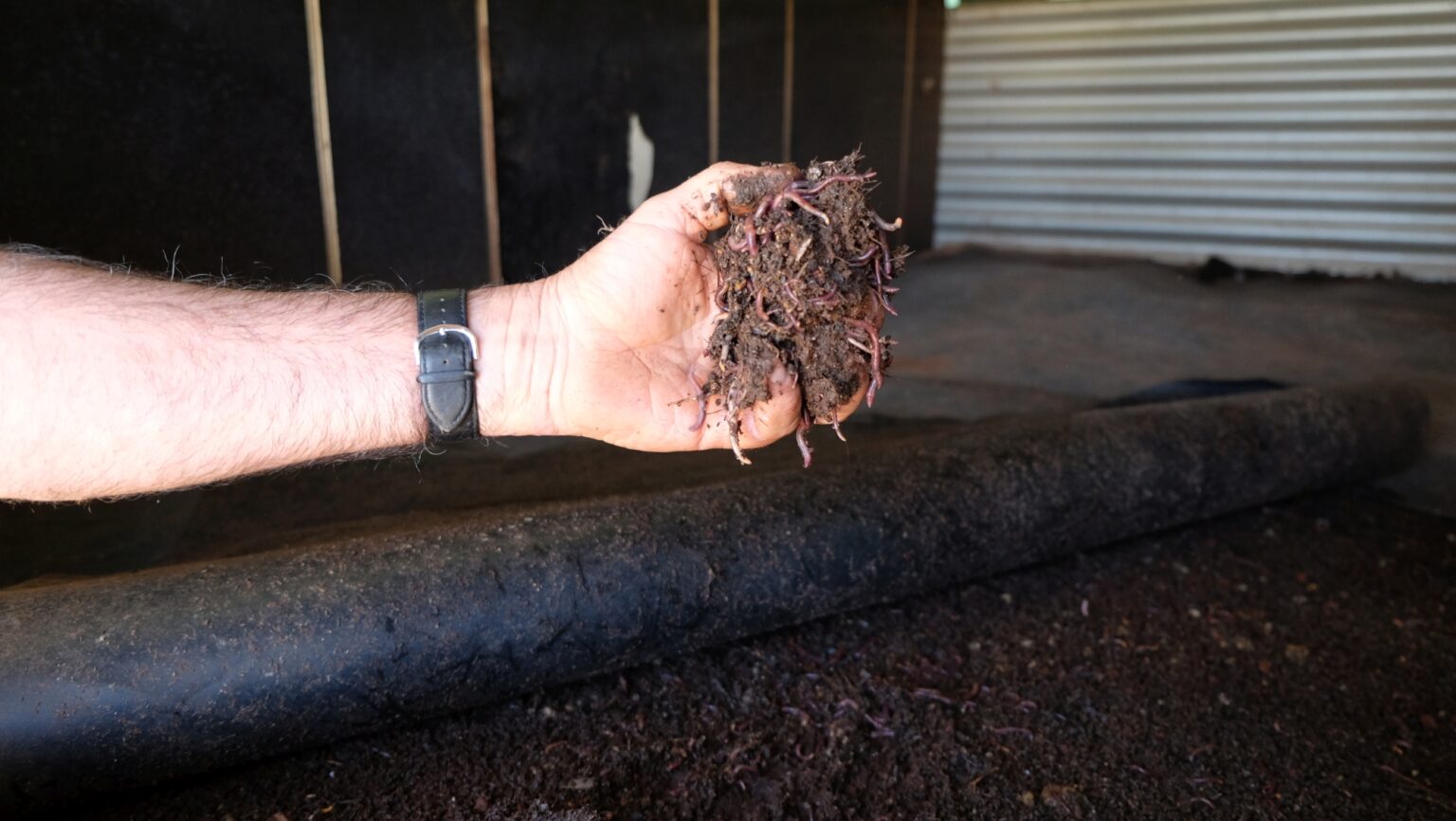 Growing education and autonomy for a healthy future | New England Times