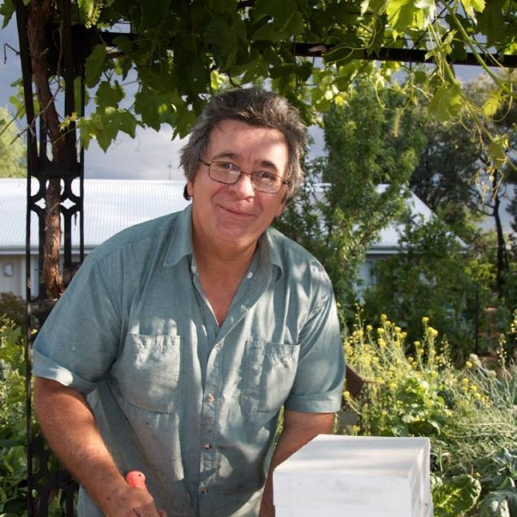 Warialda buzzing with excitement for annual honey festival | New ...