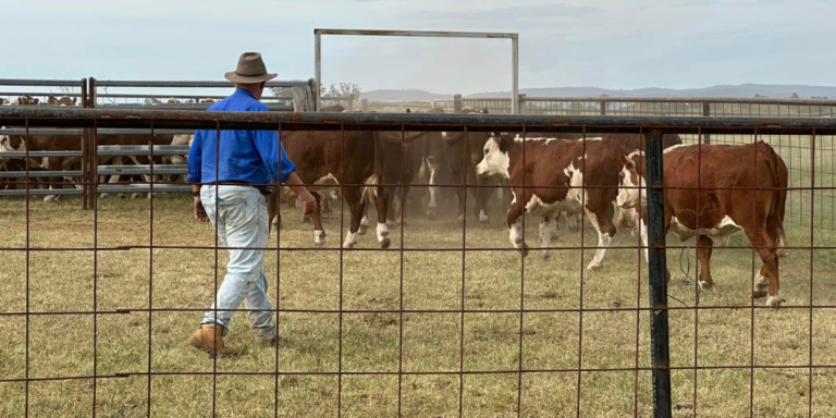 Drought and rising costs send New England farmer confidence to record ...