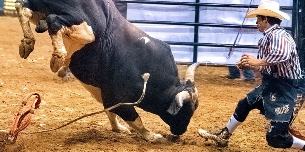 Tickets on sale for ABCRA’s 2024 National Finals Rodeo | New England Times