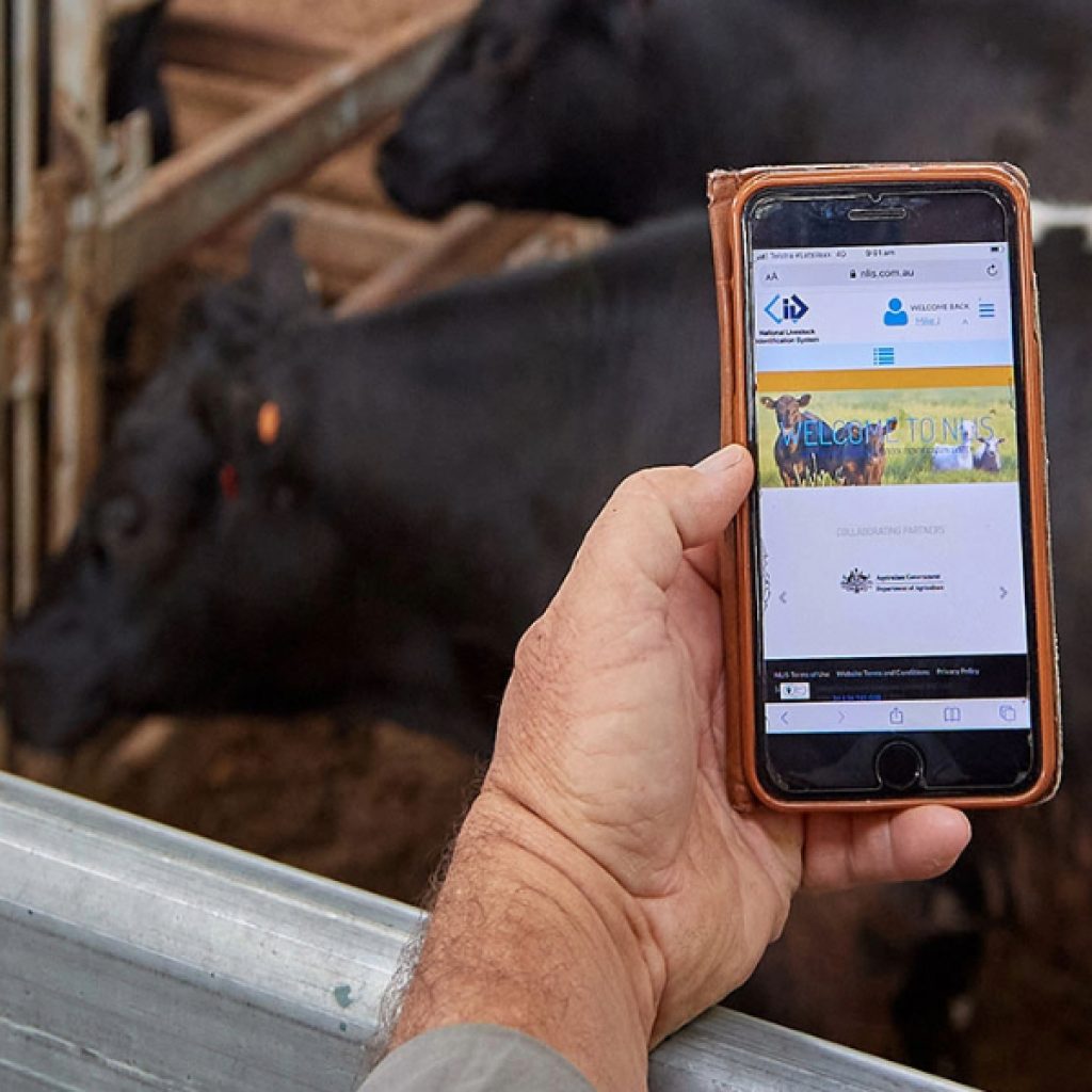 23 year old NLIS system to be replaced | New England Times