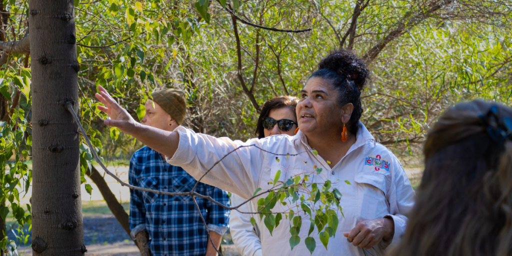A day of celebration of Aboriginal culture in Moree | New England Times