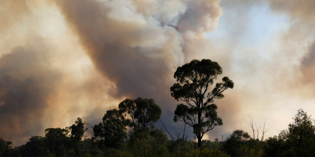 New England Times | Local News for the New England, pay wall free.