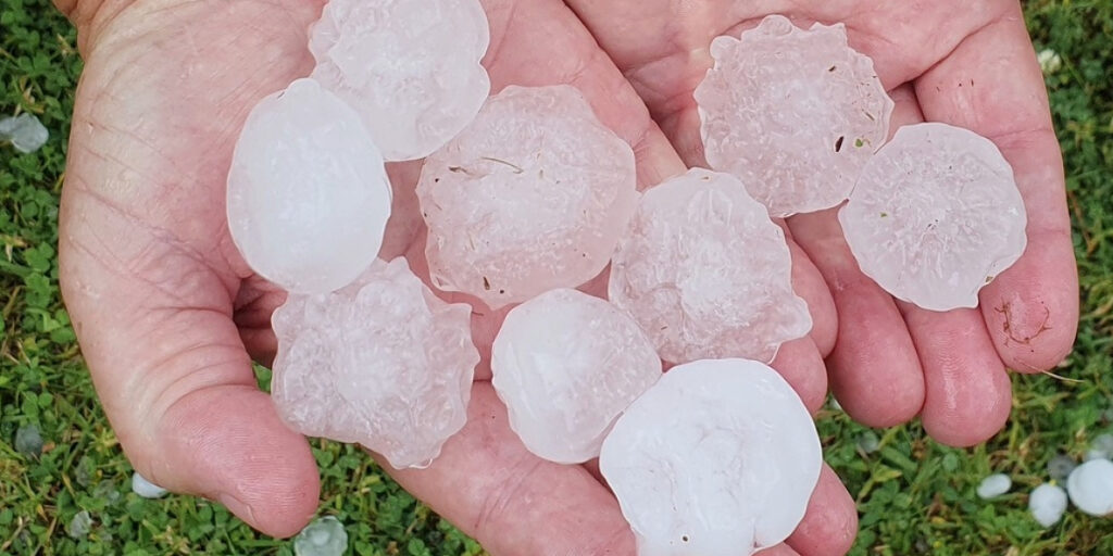 New England Times | Real local news. No paywalls. Really.