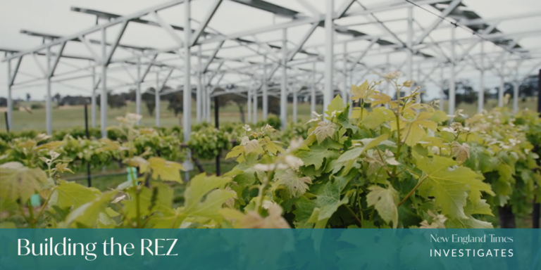 Can agrivoltaics help harmonise farming and solar energy? | New England ...