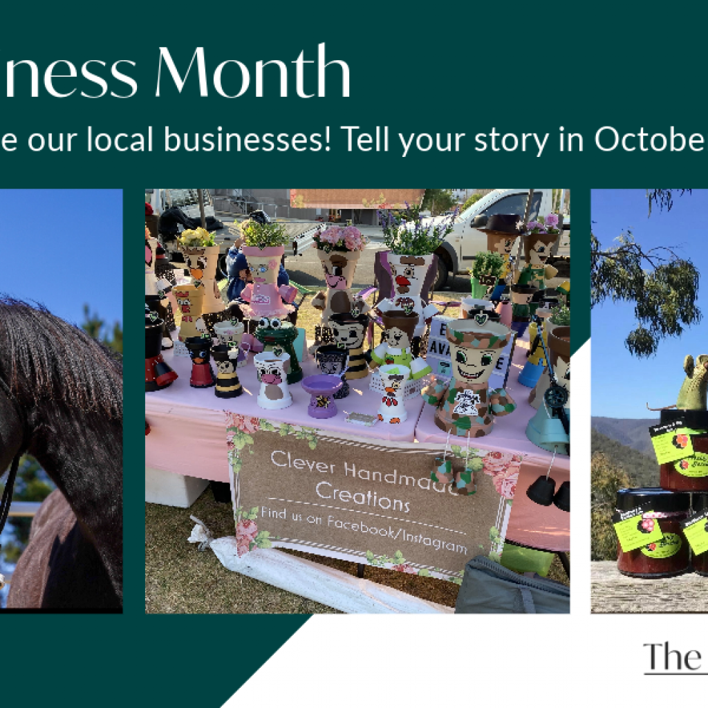 Small Business Month: healing people and horses, creative pots, and ...