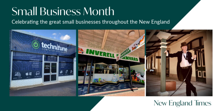 Small Business Month: Specialist - computers, pets, chimneys | New ...