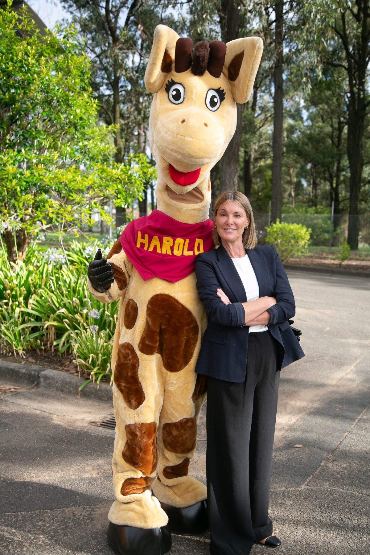 Regional perspective to shape Healthy Harold’s future under new CEO ...