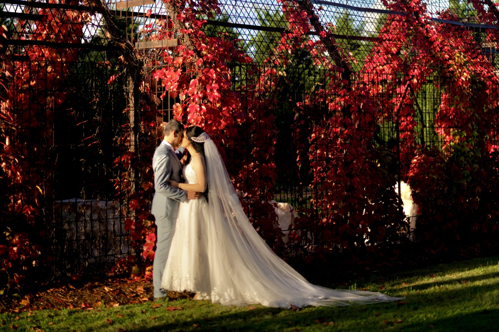 The Bungalow & Ivy Leaf Chapel: a hidden gem for intimate weddings and ...